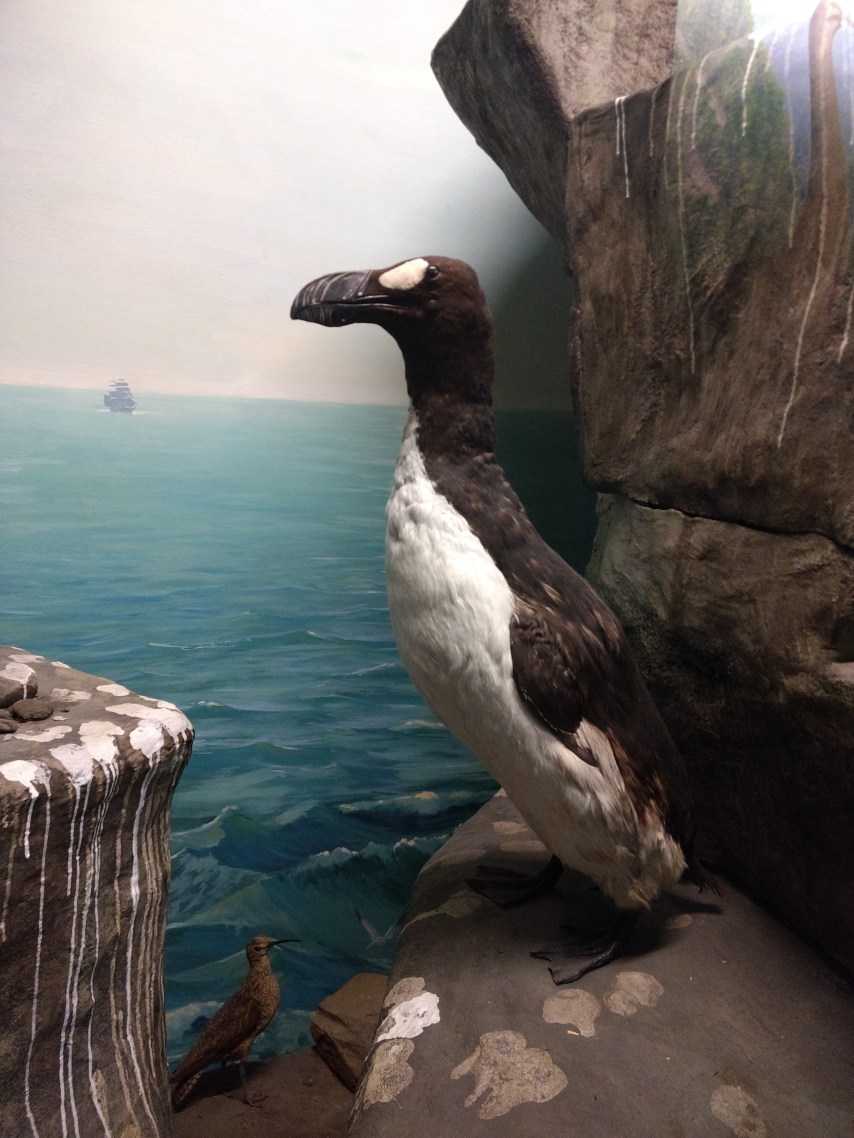 Dioramas & Dinosaurs (and a cockroach): The Academy of Natural Sciences ...