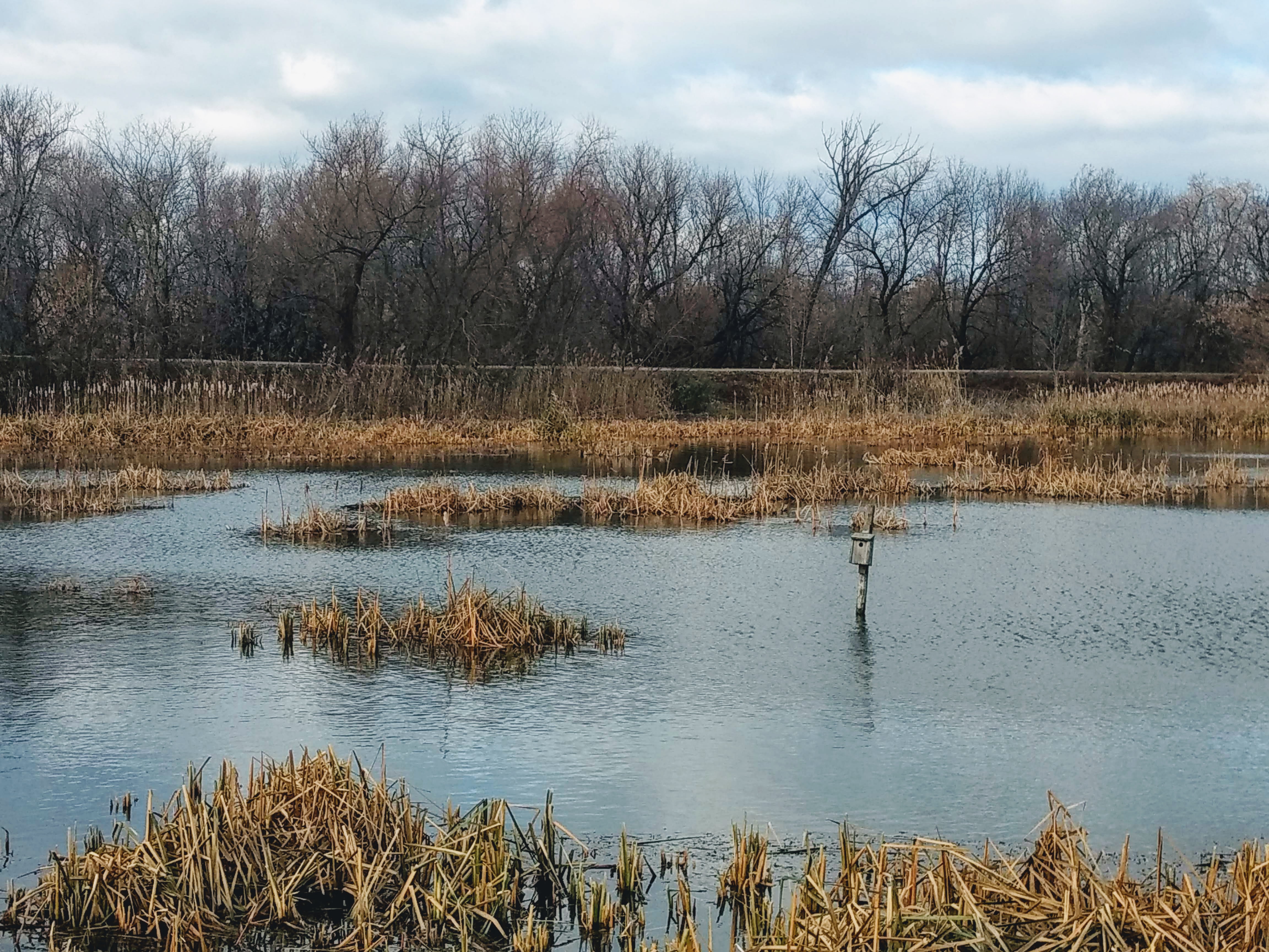 Exploring America’s First Urban Wildlife Refuge – Secrets of Philadelphia