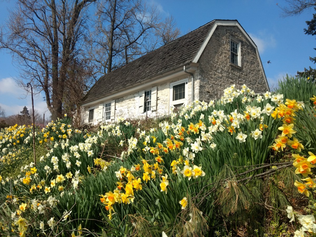 Fairmount Park pt. 1: the Centennial of 1876, Japanese Gardens, a Tree ...