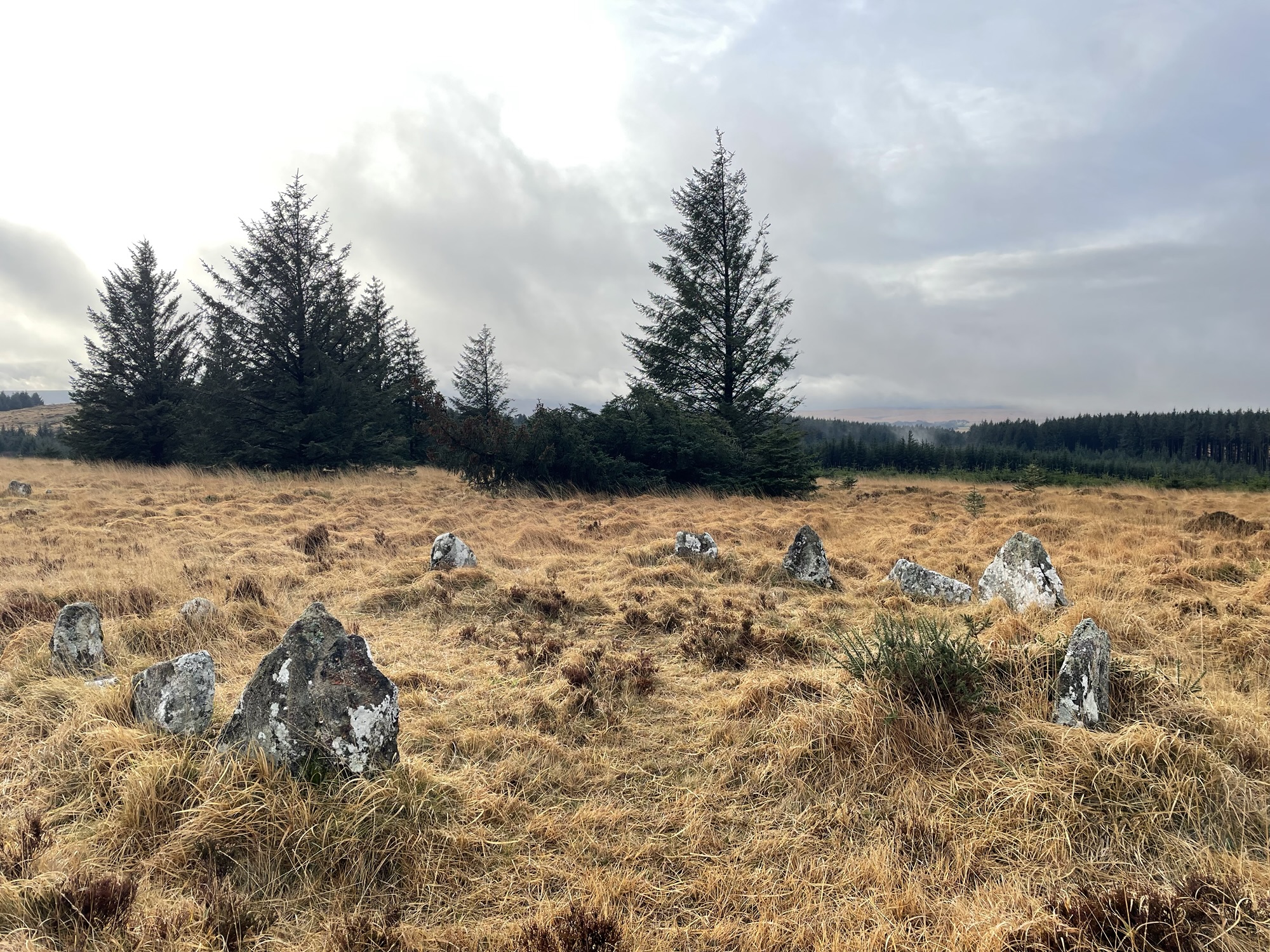 England: Searching for the Hound in the Great Grimpen Mire – Secrets of ...