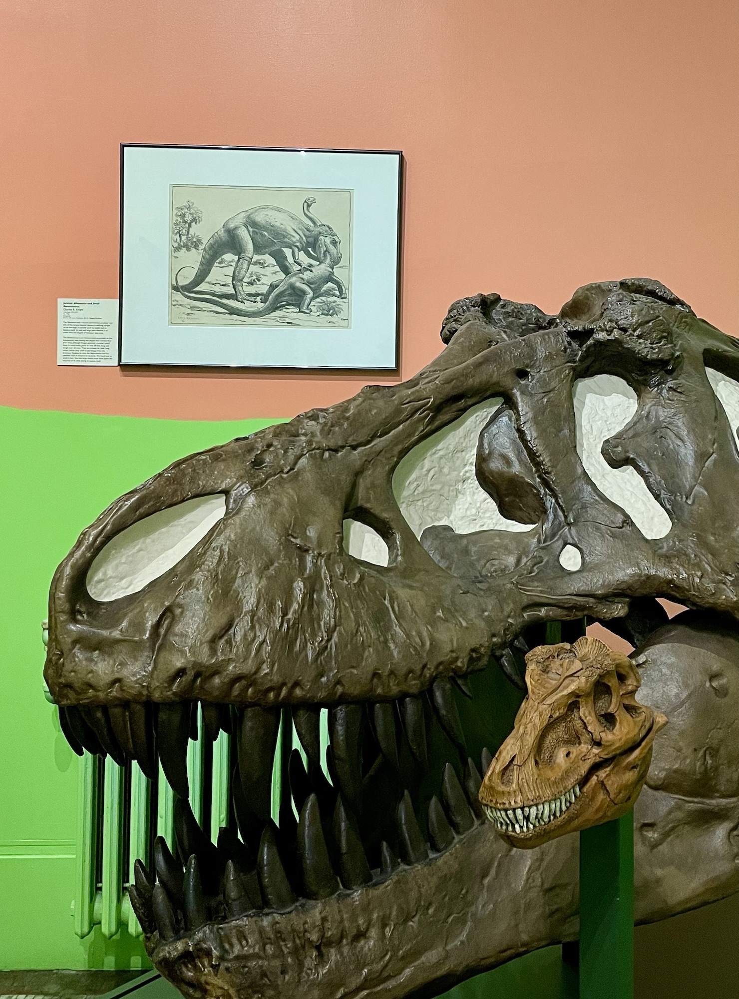 Charles Knight: The Artist Who Invented the Dinosaur – Secrets of ...