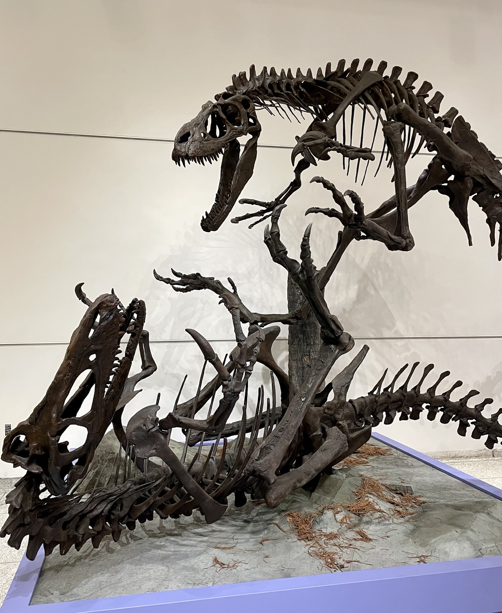 Charles Knight: The Artist Who Invented the Dinosaur – Secrets of ...