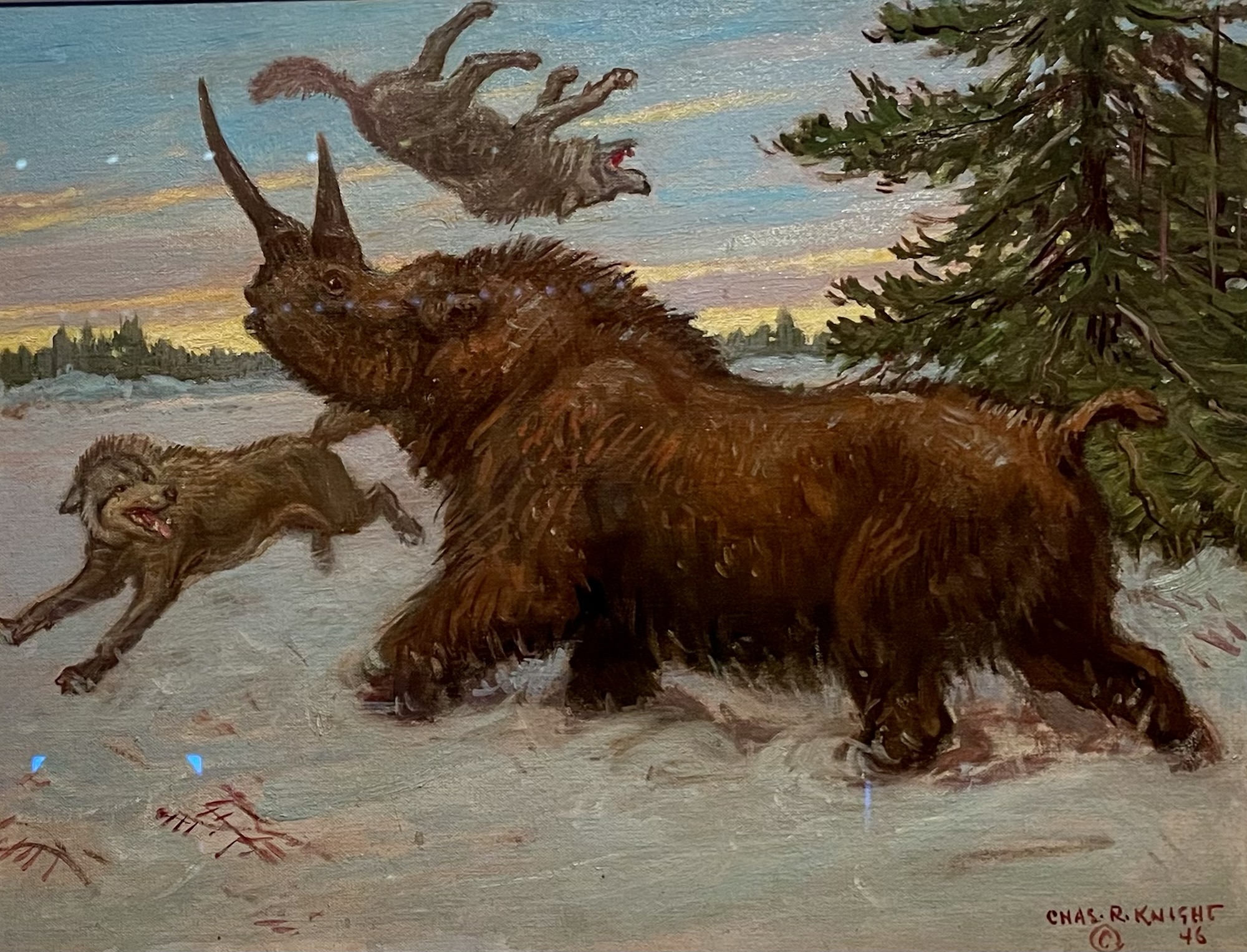Charles Knight: The Artist Who Invented the Dinosaur – Secrets of ...