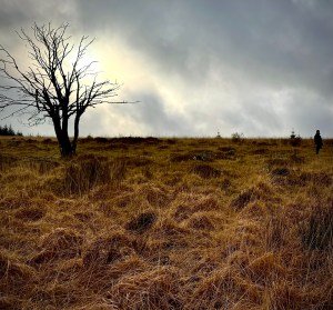 England: Searching for the Hound in the Great Grimpen Mire – Secrets of ...