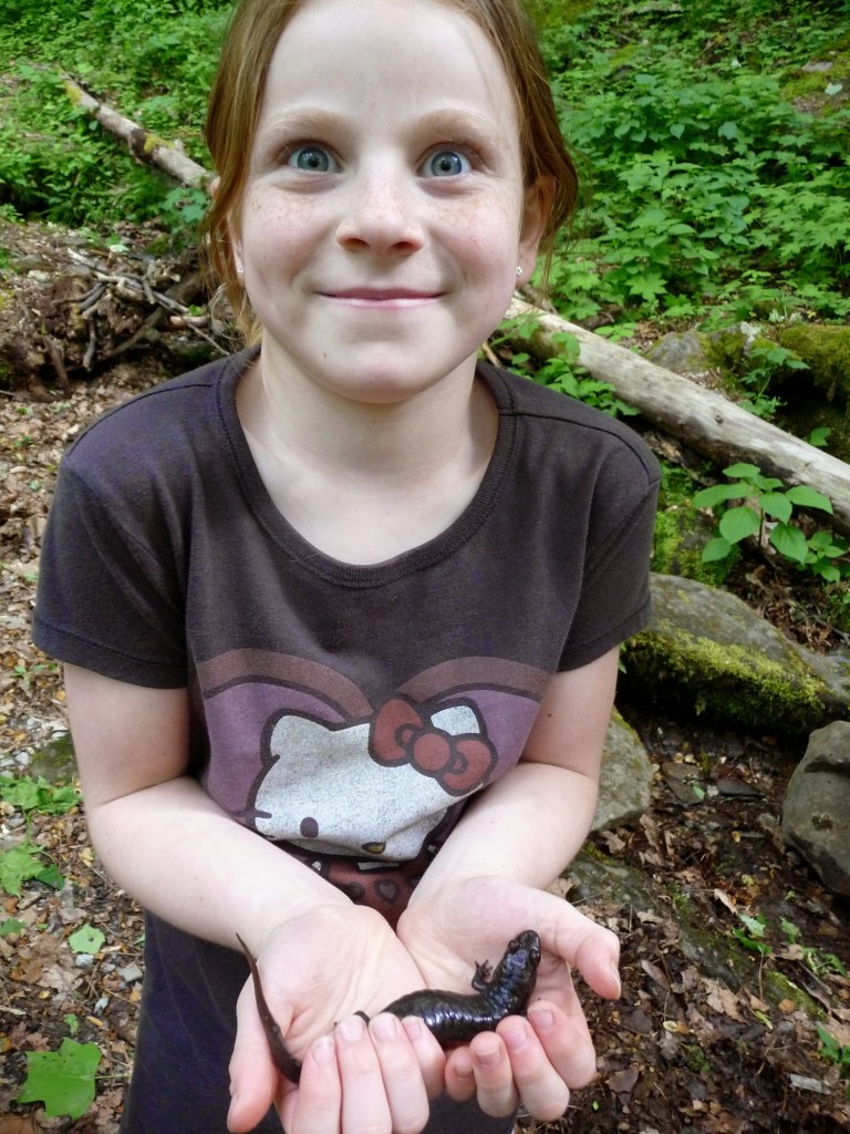 Smoky Mountains: A Slimy Wildlife Adventure – Secrets of Philadelphia